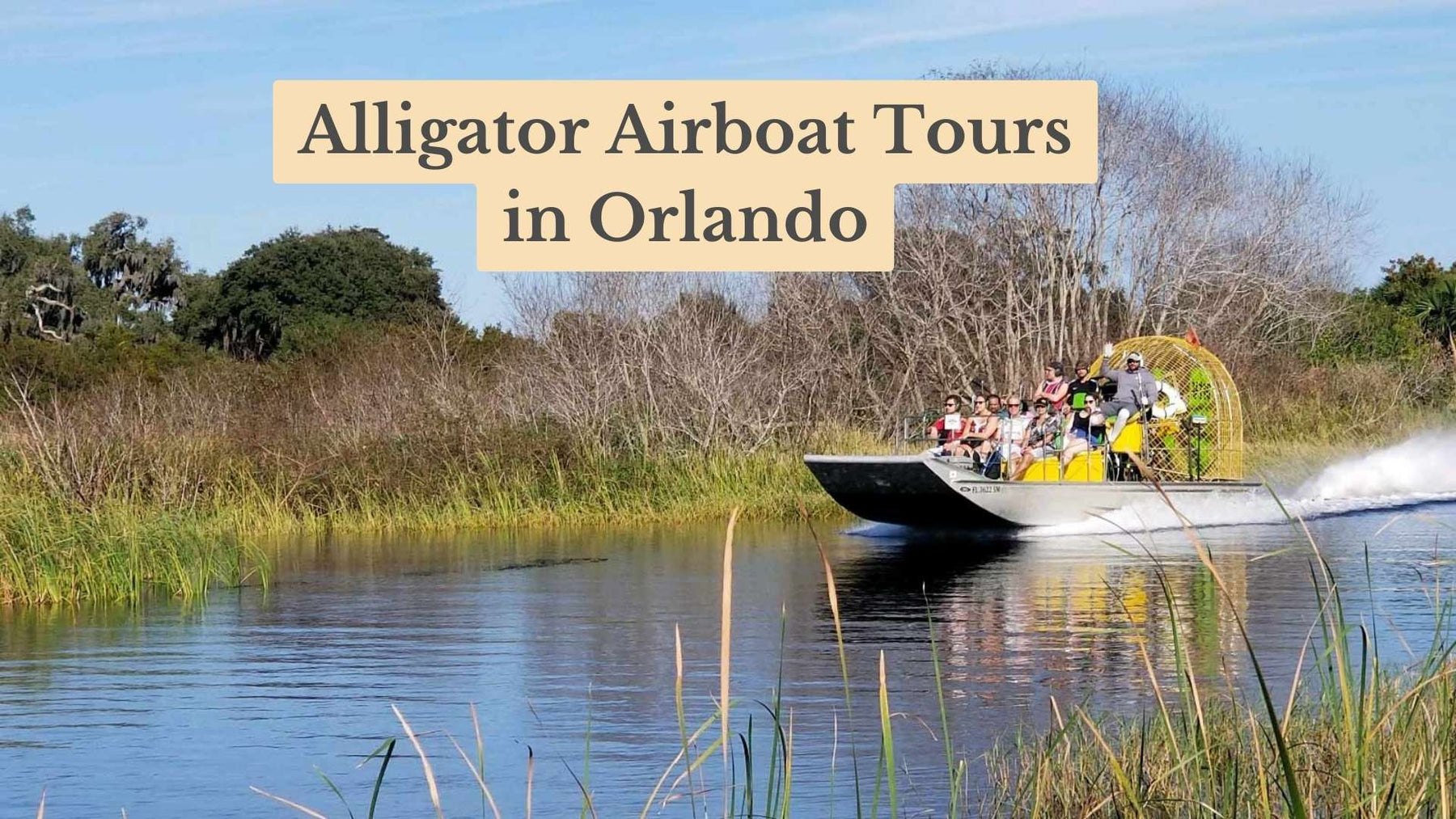 7 Must-Visit Botanical Gardens in Orlando in 2026: A Serene Escape